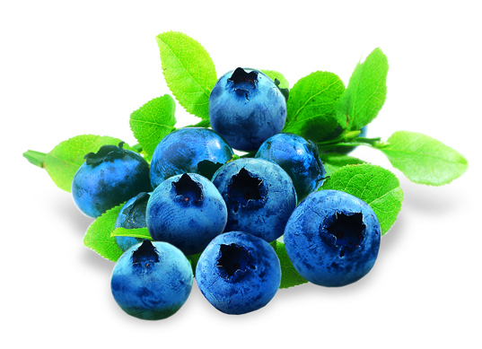 Efectele terapeutice ale afinelor sunt atat de miraculoase incat pot ...