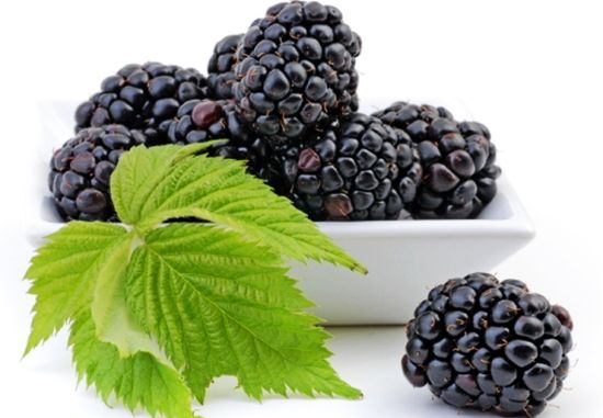 Murele - sursa de tinerete si sanatate – Natura Vindecătoare