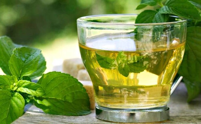 Camellia sinensis - o planta de ceai cu multiple beneficii pentru ...