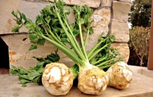 Țelina - 10 beneficii surprinzătoare pentru care merită consumată cât ...