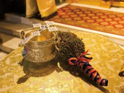 Caprifoi (Mâna Maicii Domnului): 6 utilizări și beneficii ale acestei ...