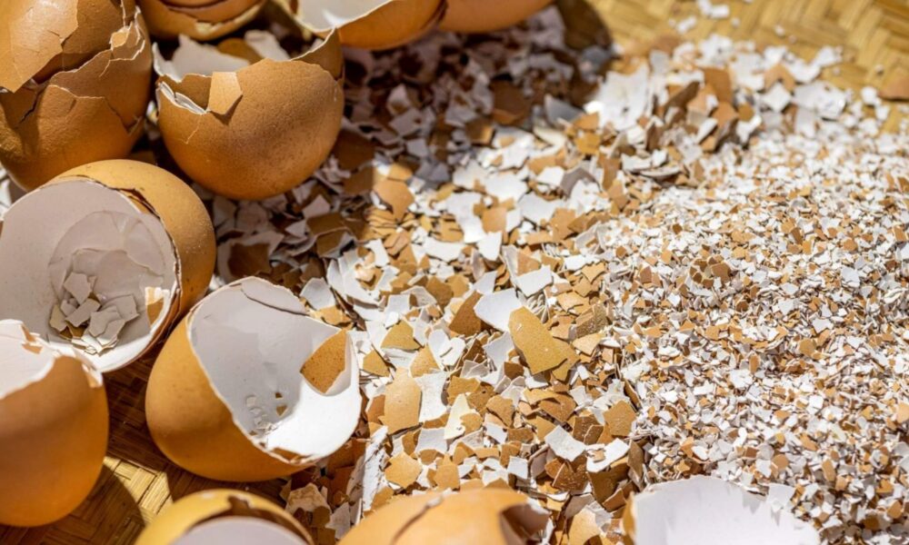 Cojile de ou cu oțet – rețeta străveche pentru calciu natural și oase ...