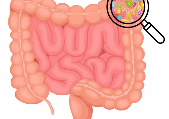 Beneficiile enzimelor pancreatice pentru sănătatea intestinală și ...