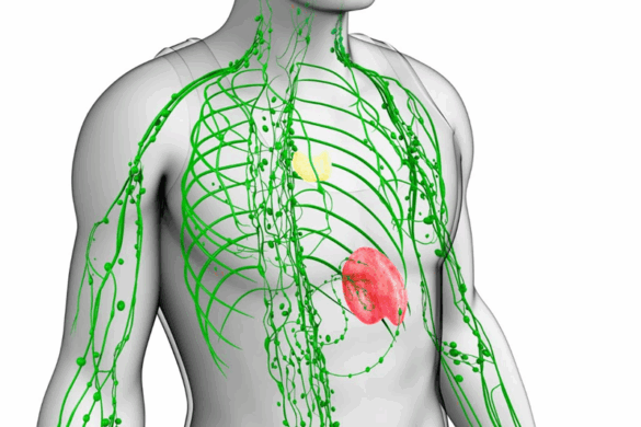 Troscot🌿 – planta uitată care curăță rinichii, vasele de sânge și ...